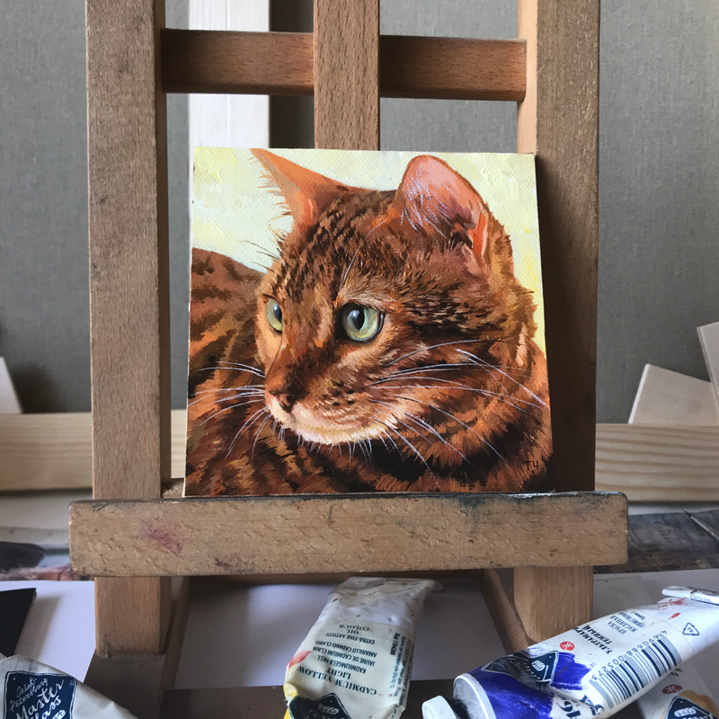 Miniatiura "Naminė katė"