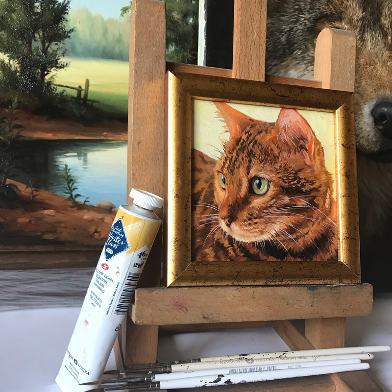 Miniatiura "Naminė katė"