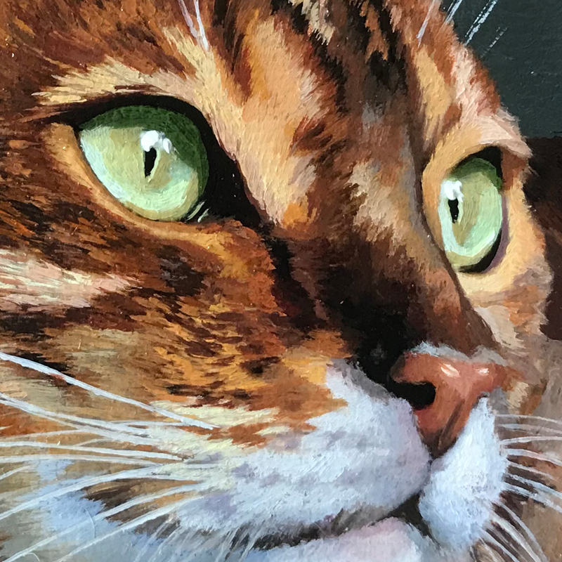 Miniatiura "Katinas"