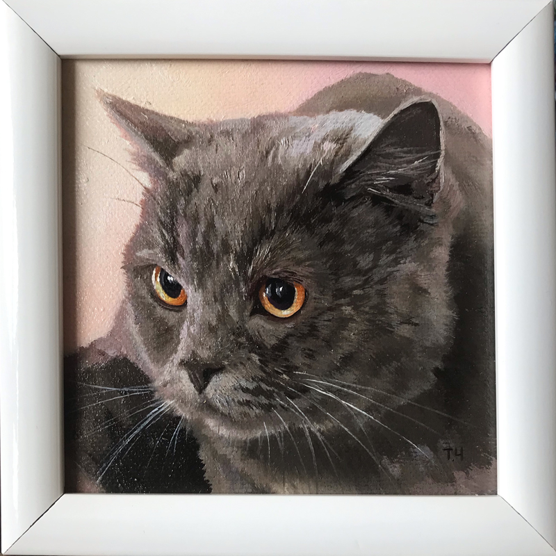 Miniatiura "Škotų katė"