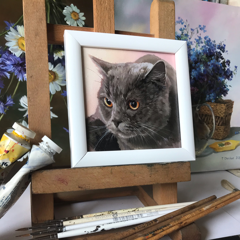 Miniatiura "Škotų katė"