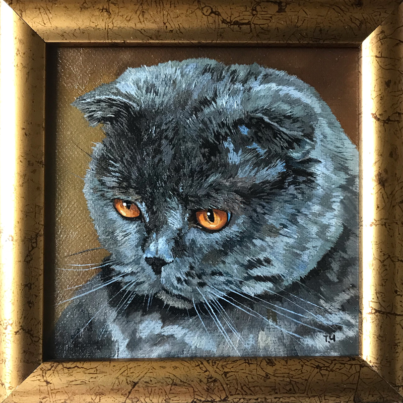 Miniatiura "Škotų nulėpausis