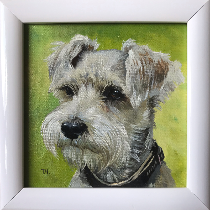 Miniatiura "Cvergšnauceris"