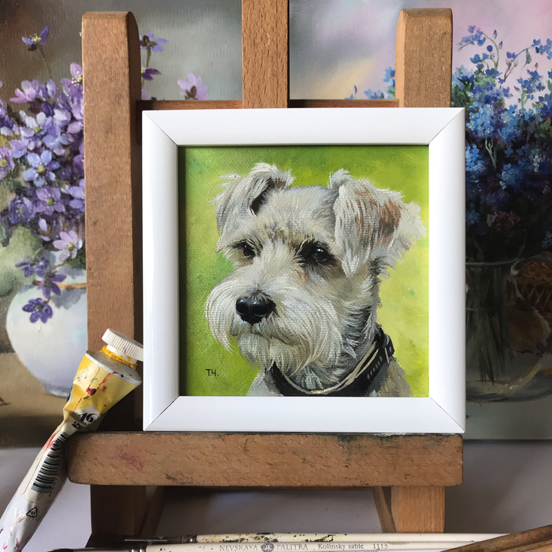 Miniatiura "Cvergšnauceris"