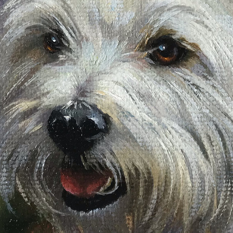 Miniatiura " Vakarų Škotijos baltasis terjerasr"