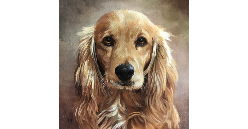 Miniatiura "Anglų kokerspanielis"