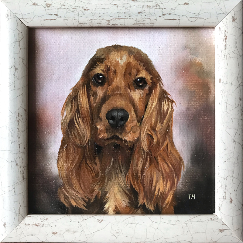 Miniatiura "anglų kokerspanielis 3"