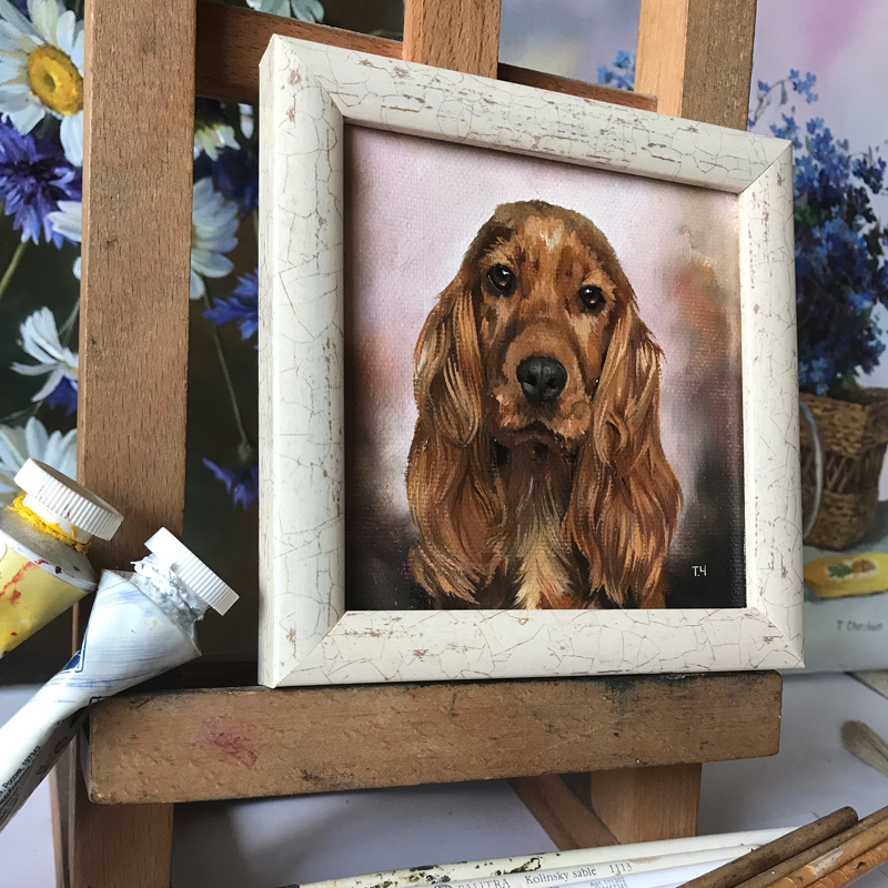 Miniatiura "anglų kokerspanielis 3"