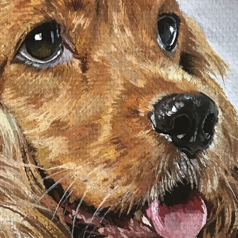 Miniatiura "Anglų kokerspanielis 2"