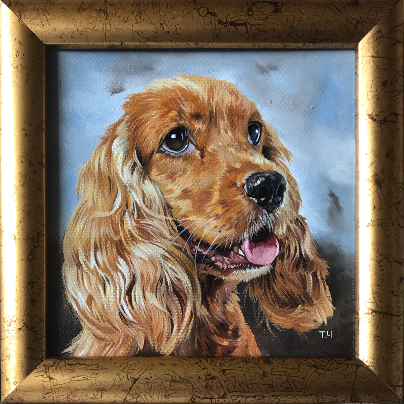 Miniatiura "Anglų kokerspanielis 2"