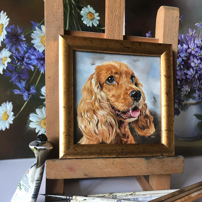 Miniatiura "Anglų kokerspanielis 2"