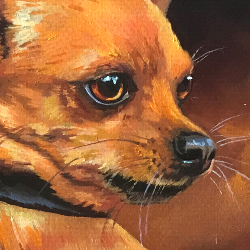 Miniatiura "Cichuachua"