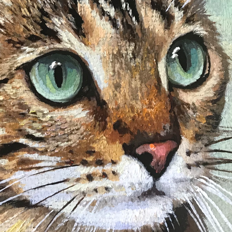 Miniatiura "Bengalijos katė"