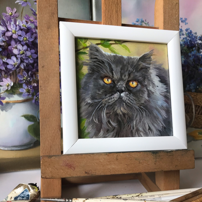 Miniatiura "Persų ilgaplaukė katė"